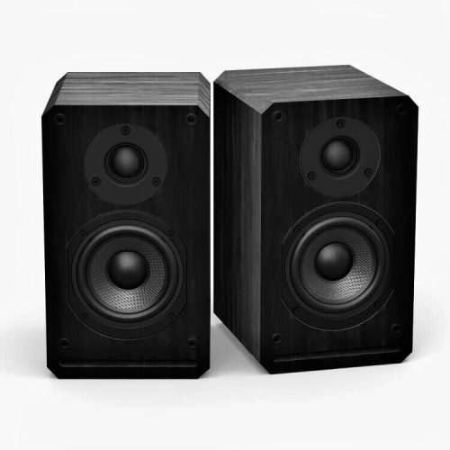 ROXEL RBS 300 Bookshelf Speaker - Black - Roxel
